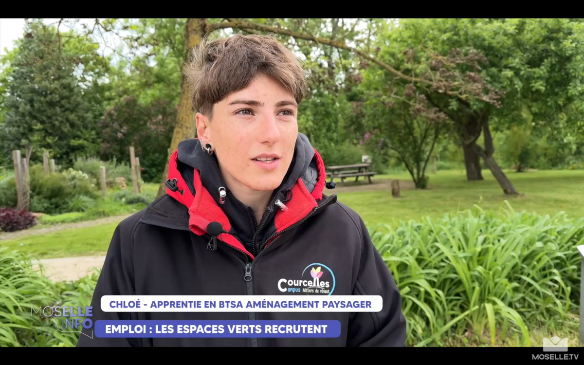 REPORTAGE | Les métiers du paysage recrutent en Moselle : nos apprentis ...